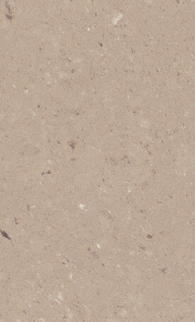 4230 Shitake | Caesarstone Singapore