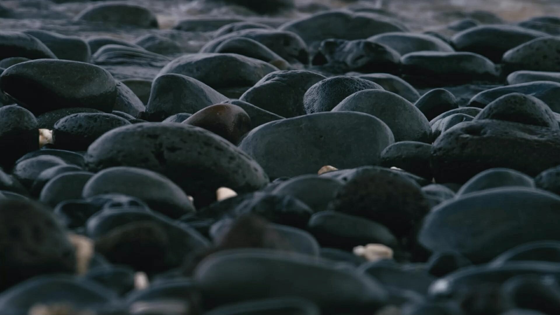 The Pebbles Collection By Caesarstone | Caesarstone Singapore